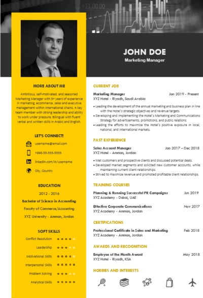 Custom CV Template – CVs Avenue